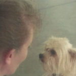 Orlando Dog Rescue - Polka Dogz Pet Rescue Team Leaders